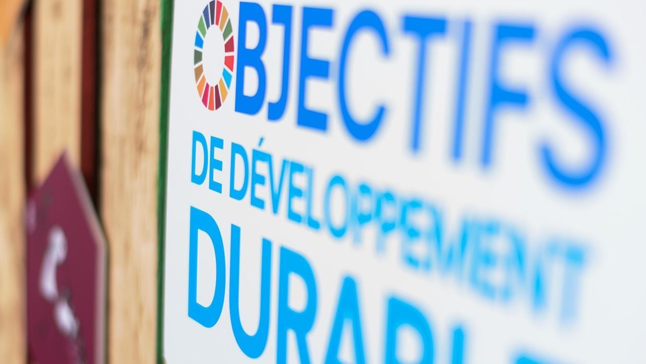 ONU / La longue route des ODD (+vidéos) – La Tribune Diplomatique ...